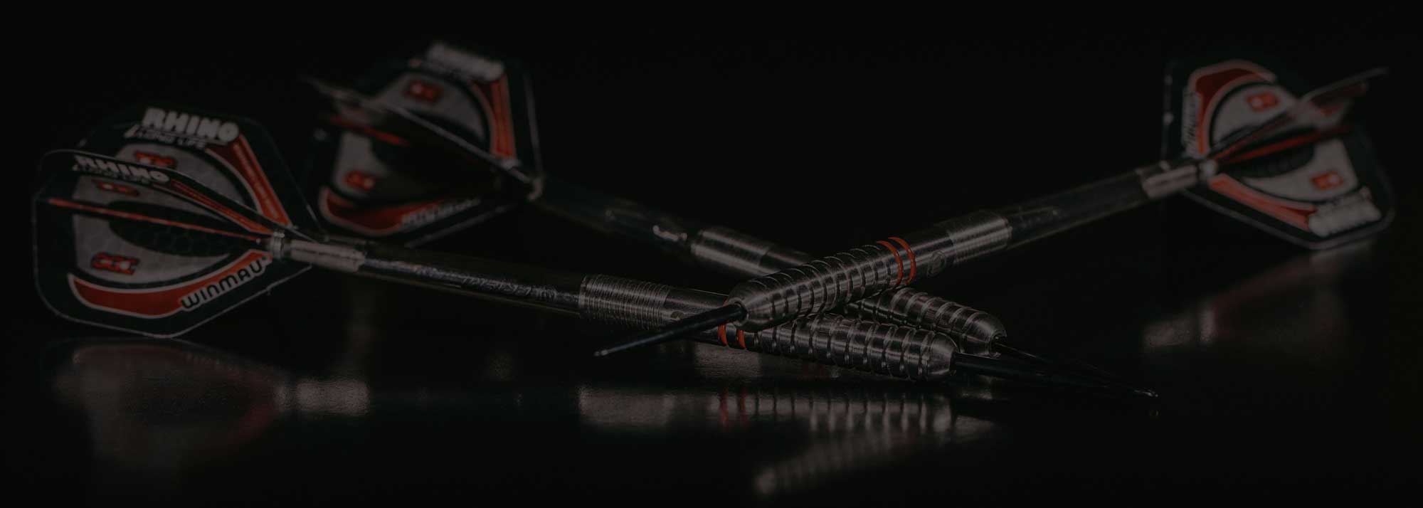 References & reviews - GoDartsPro - Online darts practicing games